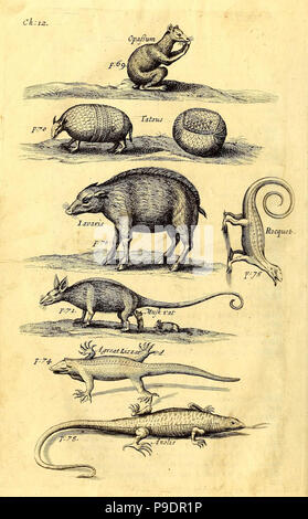 weird medieval creatures Stock Photo - Alamy