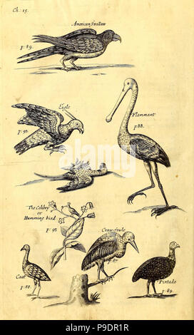 weird medieval creatures Stock Photo - Alamy
