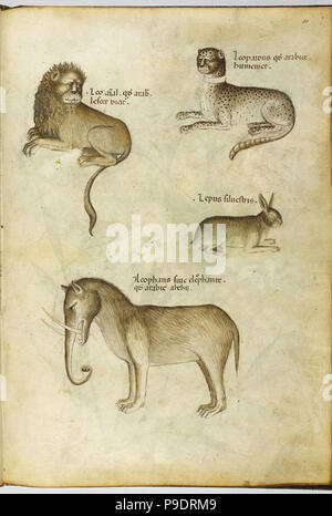 weird medieval creatures Stock Photo - Alamy