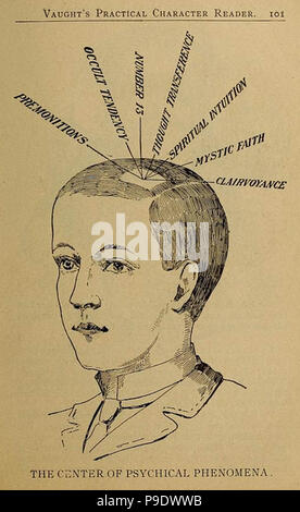 study of the human face shapes Stock Photo - Alamy