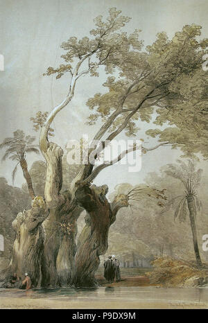 David Roberts' painting *Holy Tree Metereah* features a sacred tree in ...