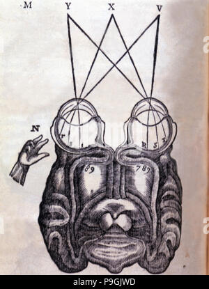 Rene Descartes' diagram of the human brain and eye, 1692. Artist ...