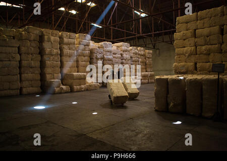 Bio Cotton being stored in a warehouse at a garment factory, where ...