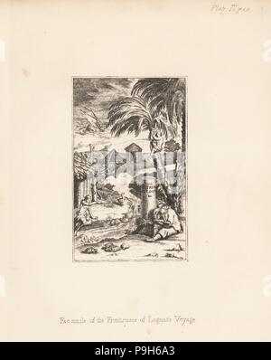 Rodrigues solitaire, Pezophaps solitaria and domed Rodrigues giant ...