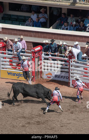 Rodeo Clown And Cowboy, Calgary Stampede Rodeo, Calgary, Alberta ...