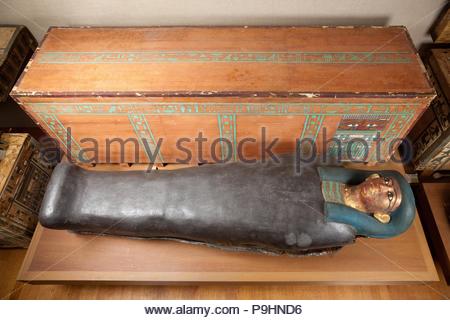 Egyptian Mummy from the burial chamber of Hatnofer and Ramose and Stock ...