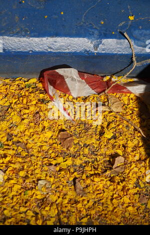 Raanana new and old Stock Photo - Alamy