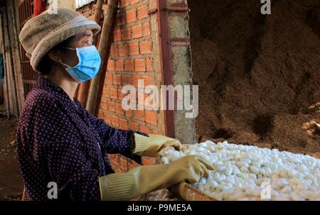 Silk factory in Da Lat, Vietnam Stock Photo - Alamy