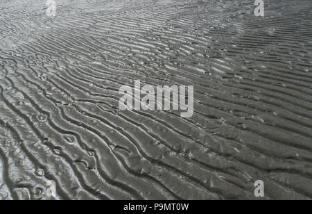 the texture is light gray sand Stock Photo - Alamy