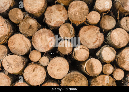 Timber round logs tree wood forest background lumber Stock Photo - Alamy