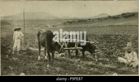 Barbarous Mexico (1911) (14782093592 Stock Photo - Alamy