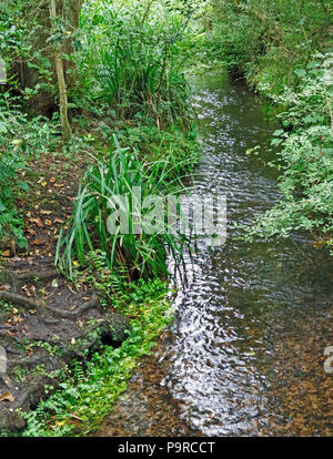 Southrepps Commons Local Nature Reserve, Norfolk, England, UK Stock ...