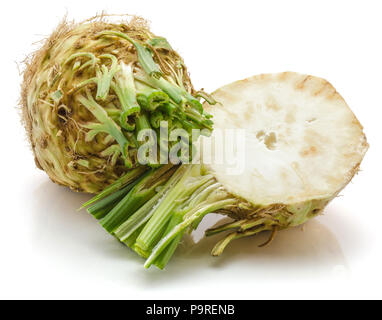 wild celery (Apium graveolens), cross section of the stem of celery ...