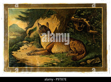 Charles Catton, Animals (1788) Page38 Image1 Stock Photo - Alamy