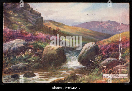372 Dartmoor. On the Lyd, near Okeharaplan (NBY 444106 Stock Photo - Alamy