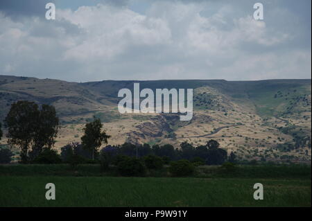 Mountain landscape in the North of Israel. Summer Stock Photo - Alamy