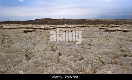 Salt Lake Karum aka Lake Assale or Asale , Danakil Afar, Ethiopia Stock ...