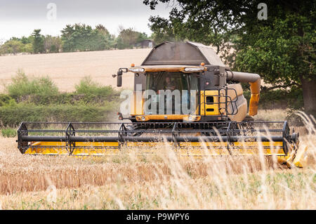 Harvesting crops, Warwickshire, England Stock Photo - Alamy