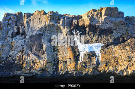The white stag at Stag Rocks, Bamburgh Beach, Northumberland, UK Stock ...