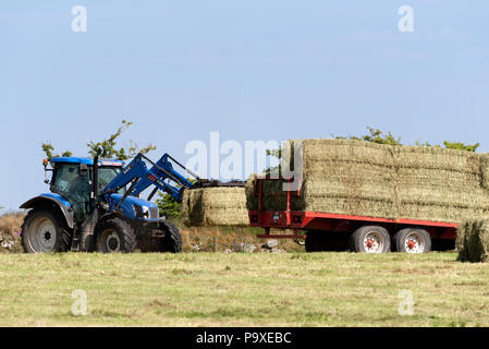 Loading hay bales onto a tractor trailer on a farm in the Derbyshire ...