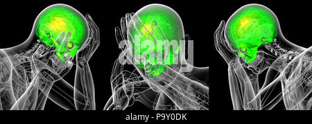 Upper body skeleton with head and skull profile view 3D rendering ...