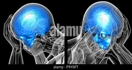 Upper body skeleton with head and skull profile view 3D rendering ...
