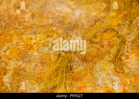 A riverbed of orange coloured sedimentary rock with beautiful patterns ...