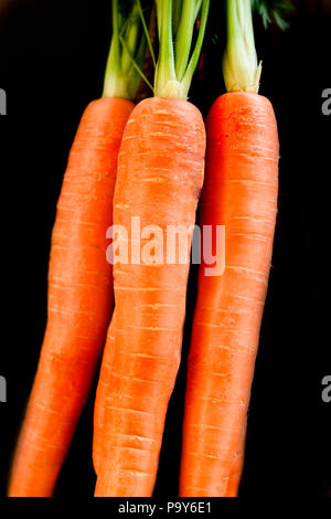 The core of a carrot Stock Photo - Alamy