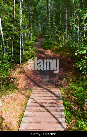 Soumarske raseliniste (moor or peat bog), Sumava national park ...