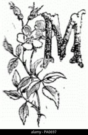 The 'Drop Cap H Drawing' is a decorative initial letter used in ...