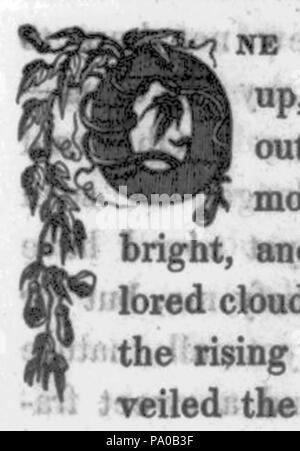 Fancy Drop Cap Letter L Stock Photo - Alamy