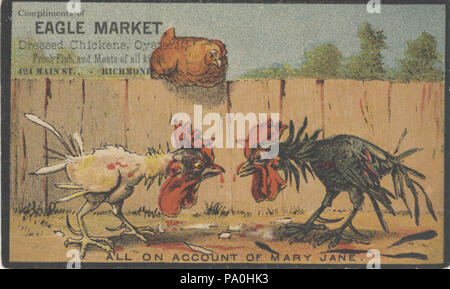 poultry roosters and hens Stock Photo - Alamy