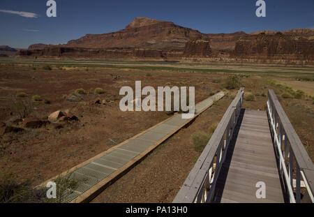 Hite Marina on Lake Powell and Colorado River in Glen Canyon National ...