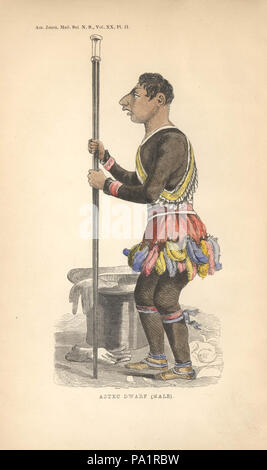 Aztec Dwarf (Male Stock Photo - Alamy