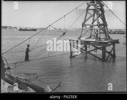 32009 Stockton shark proof net Stock Photo - Alamy