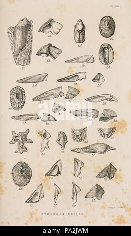 A monograph on the sub-class Cirripedia, London, Ray Society, 1851-54 ...