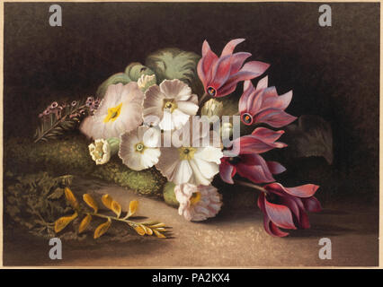 After the Rains (Boston Public Library Stock Photo - Alamy