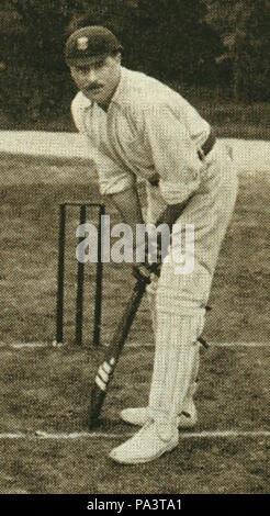 1196146 Joe Vine Stock Photo - Alamy