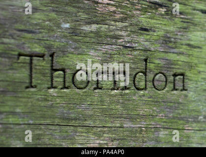 An inscription on a memorial bench Stock Photo - Alamy