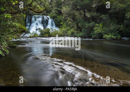 Aniwaniwa Falls, Rainforest Waterfall, Te Urewera National Park, North ...