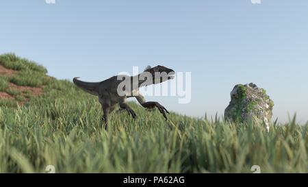 Utahraptor in a prehistoric environment Stock Photo - Alamy