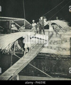 Men loading rotan on ship, Indonesia Tanah Airku, p23 Stock Photo - Alamy