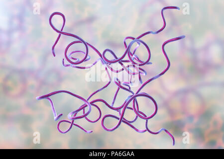 3d illustration of a Spirochaete Borrelia bacterium, the cause of Lyme ...