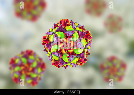 Poliovirus particle, computer artwork. Polio virus particles (virions ...