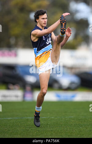Shepley Oval, Dandenong, Melbourne, Australia. 21st July, 2018 ...