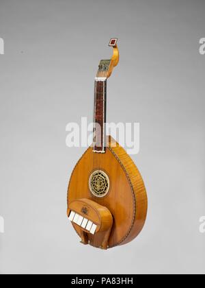 A lute is a plucked string instrument with a neck (either fretted or ...