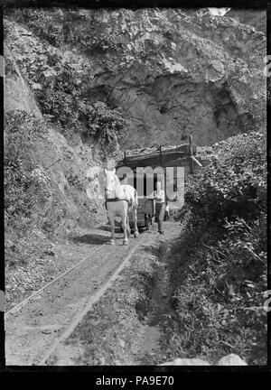 Pit pony pulling a coal wagon on rails underground in a Welsh coal mine ...