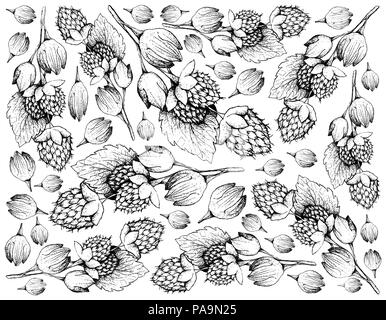 Yellow Himalayan raspberry (Rubus ellipticus), invasive species, Big ...