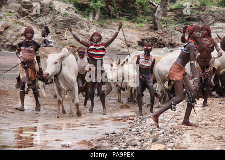 Hamer women dance during Bull Jumping ceremony (Ukuli ritual) by Hamer ...
