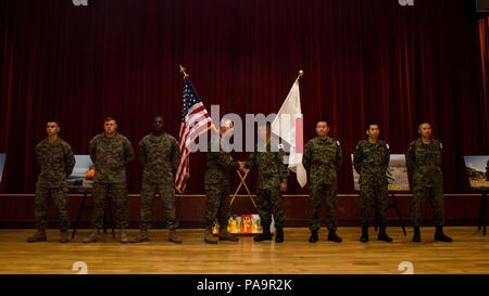 Colonel Clay Tipton, commanding officer of the 11th Marine ...